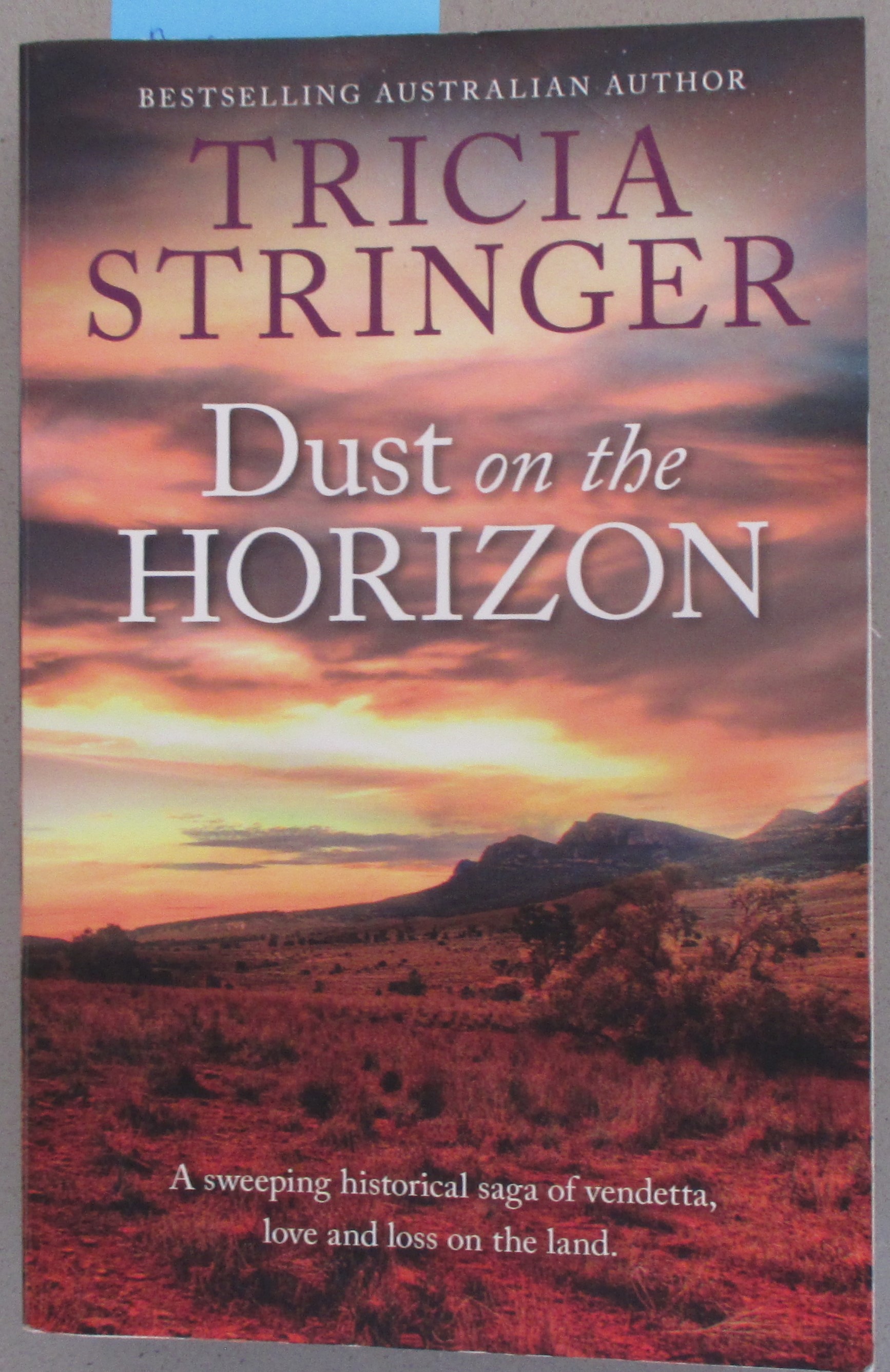 Dust on the Horizon