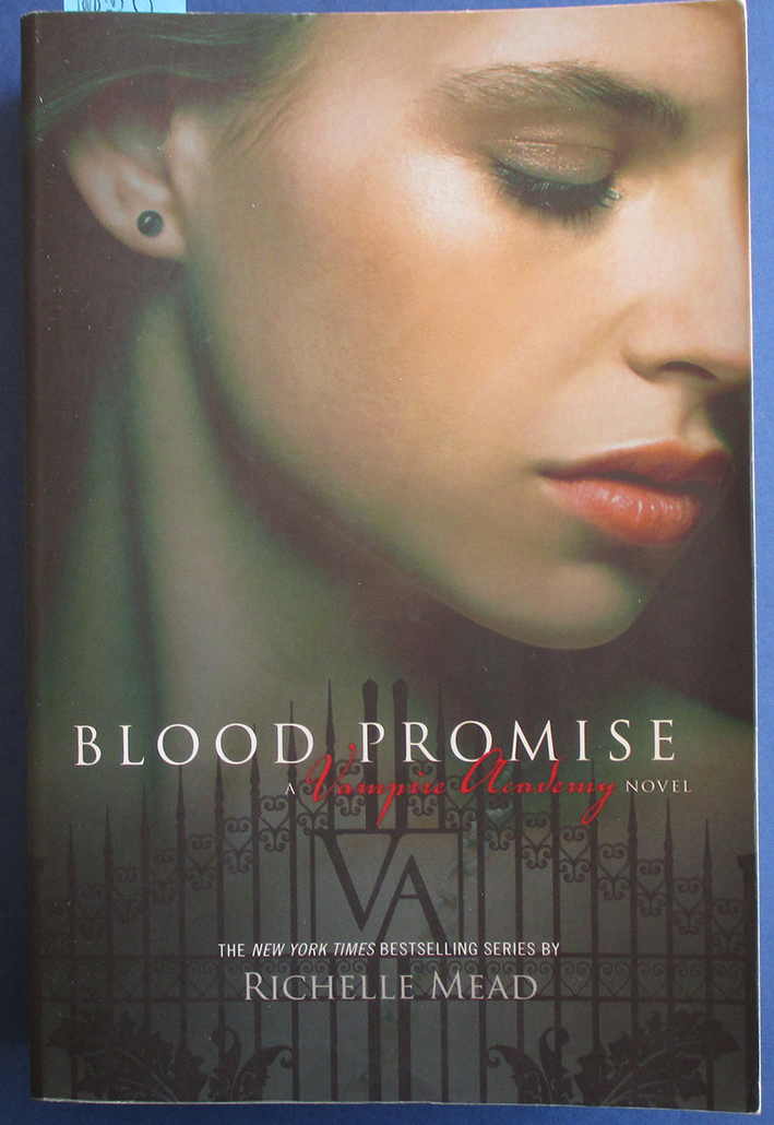 Spirit Bound: Vampire Academy #5